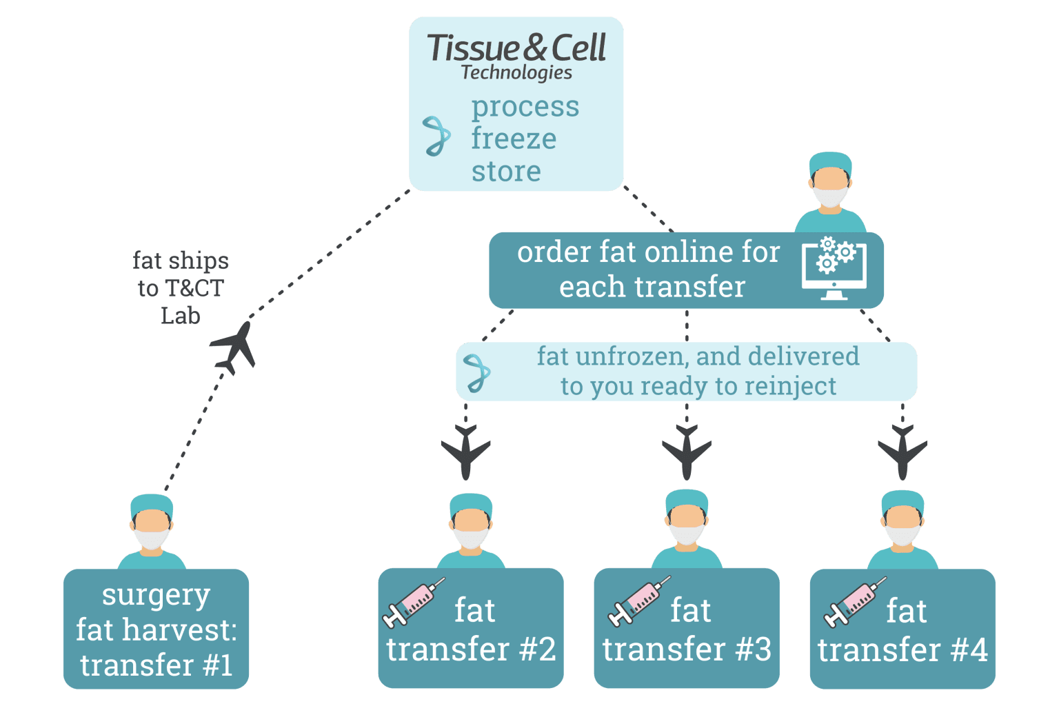 How Our Technology Works – Tissue & Cell Technologies